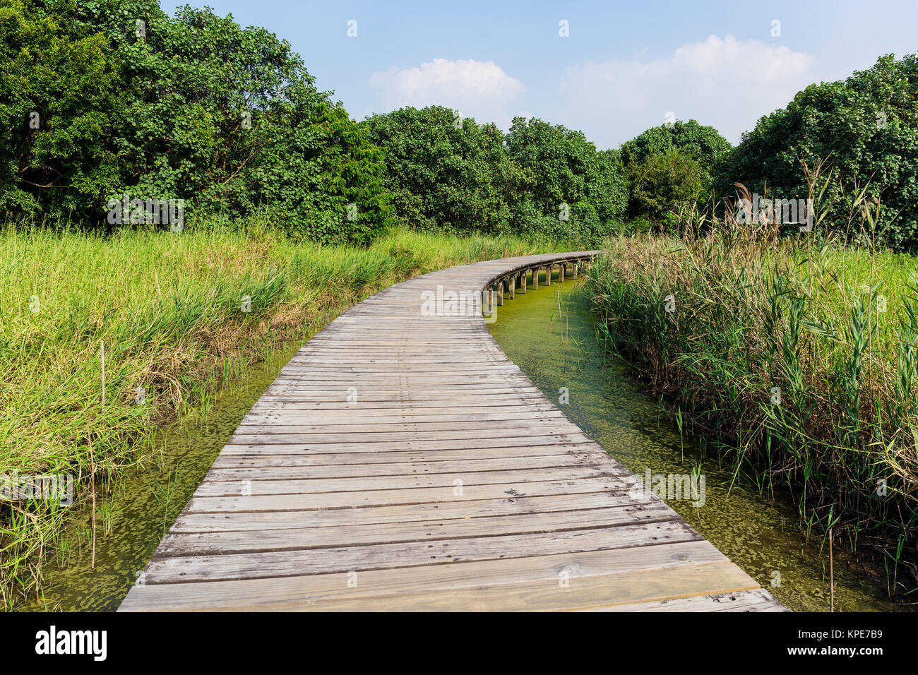 Small bridge through a river Stock Photo - Alamy