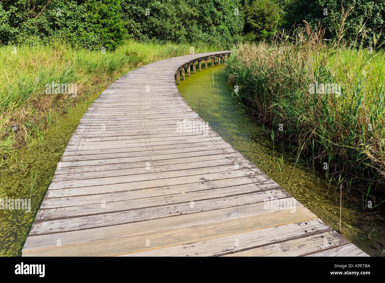 Wooden bridge across the lake Stock Photo - Alamy