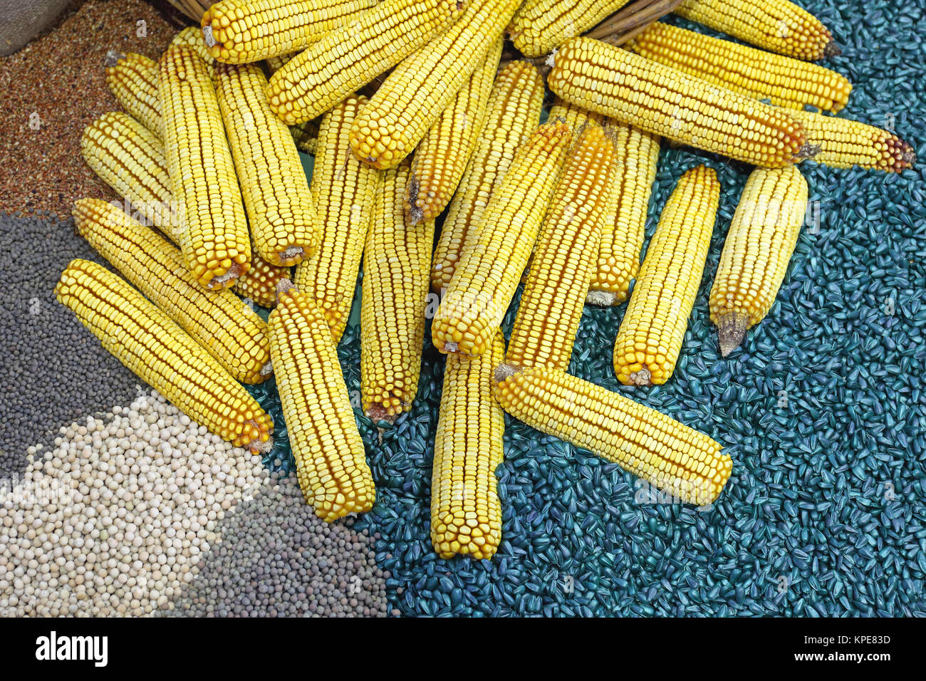 Pile of maize hi-res stock photography and images - Alamy