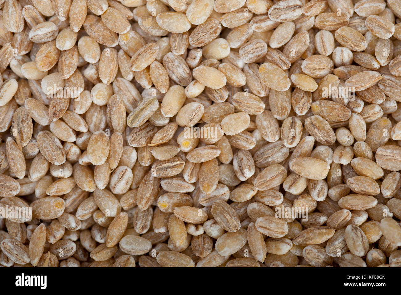 organic wheat grains Stock Photo - Alamy