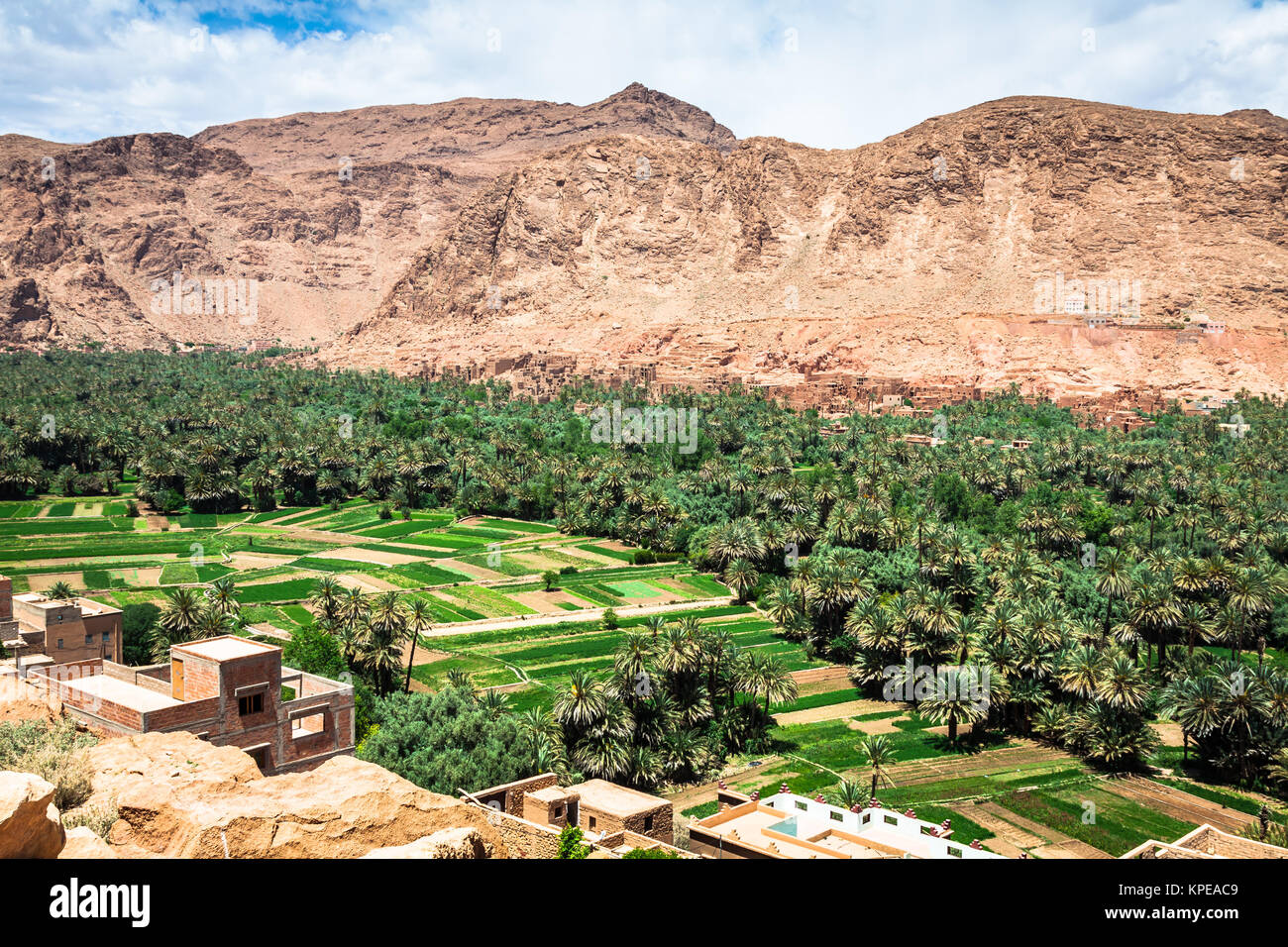 town and oasis of tinerhir,morocco Stock Photo - Alamy