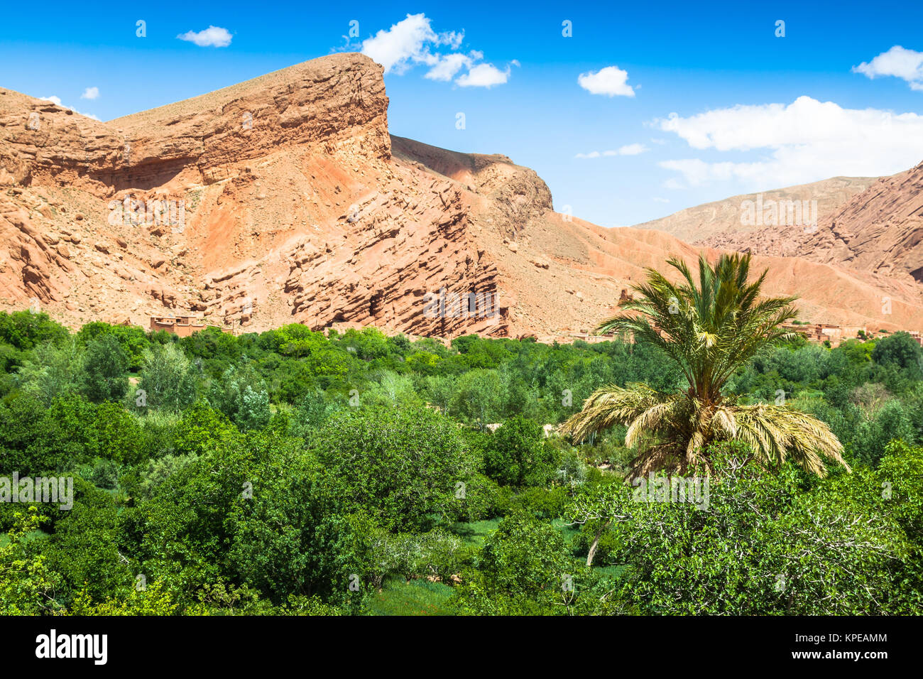 red rock limestone fingers in dades gorge,morocco,africa Stock Photo ...
