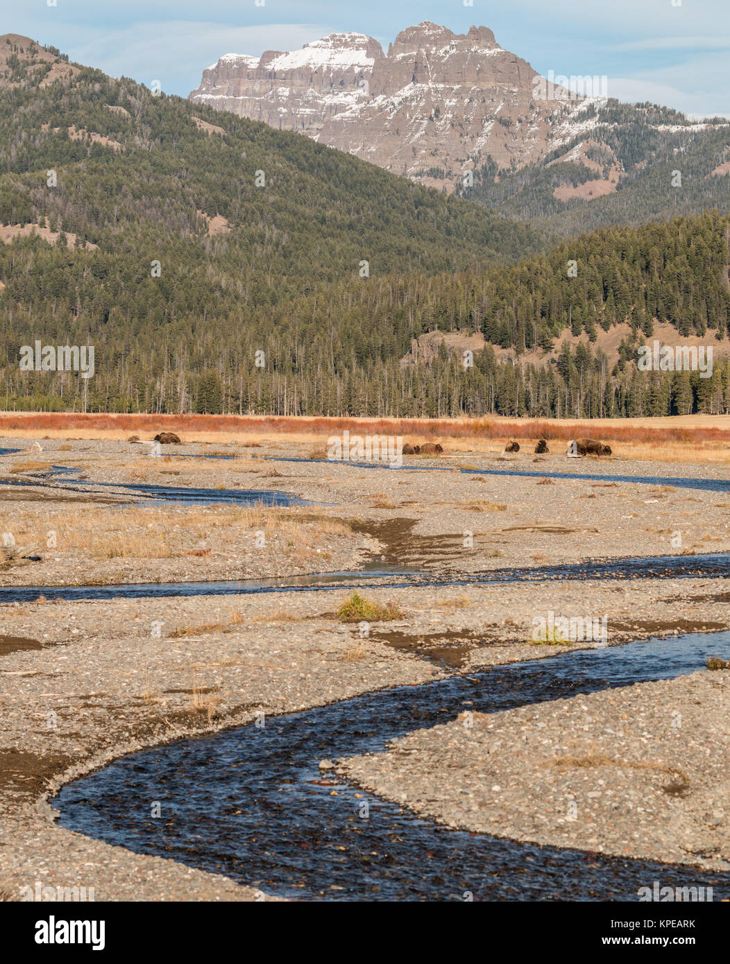 Thunderer in yellowstone hi-res stock photography and images - Alamy