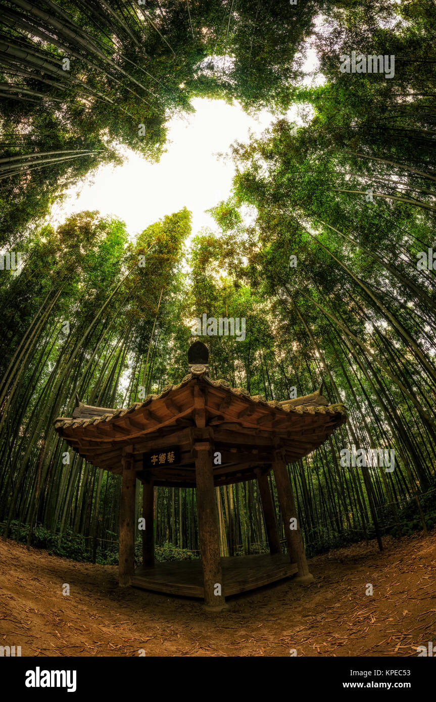 Small pagoda in a Bamboo forest Stock Photo - Alamy