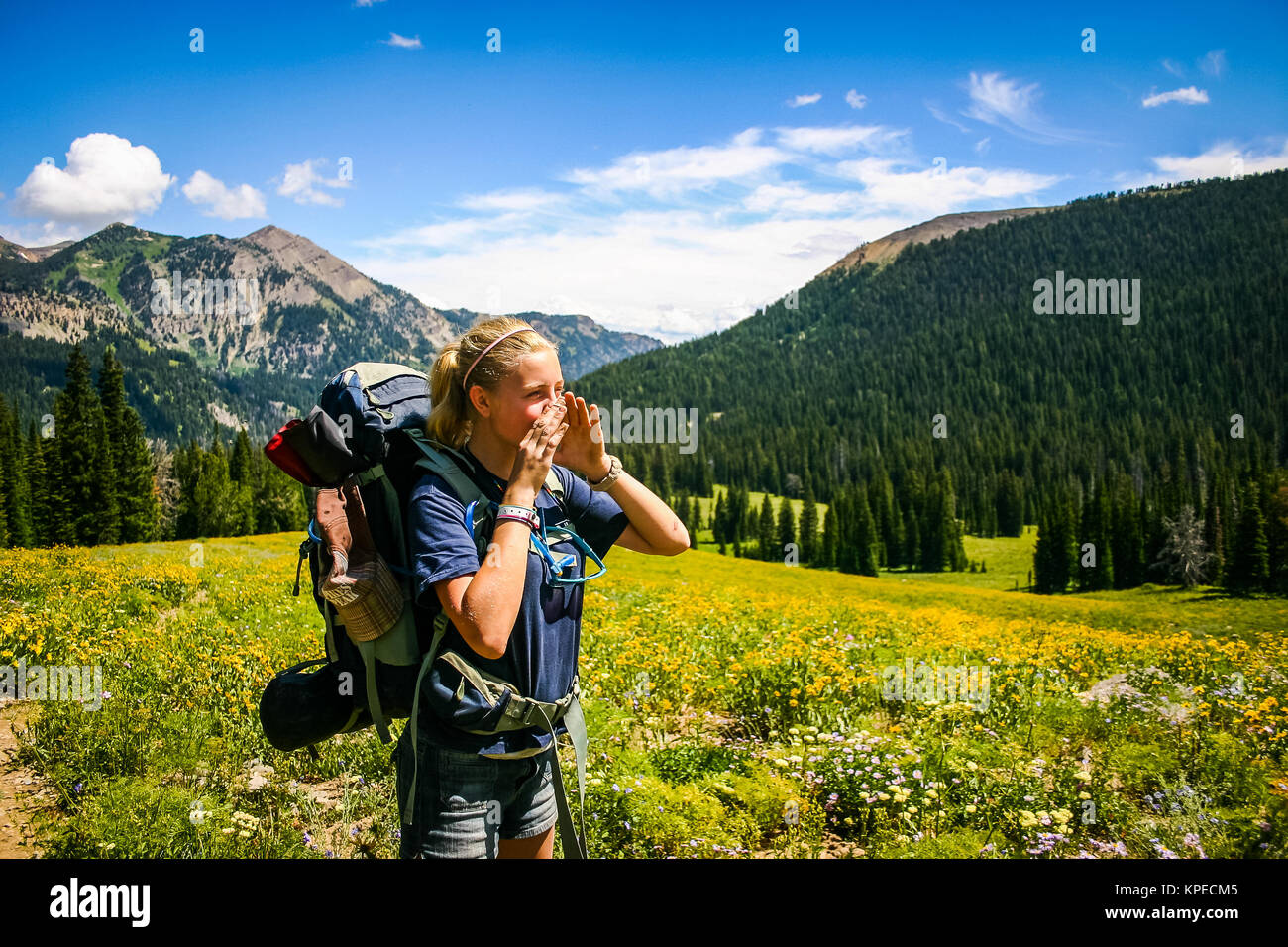 Yodeling Clipart House