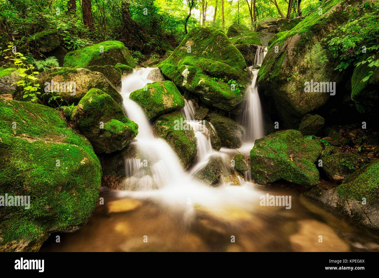 Creek after the rain Stock Photo - Alamy