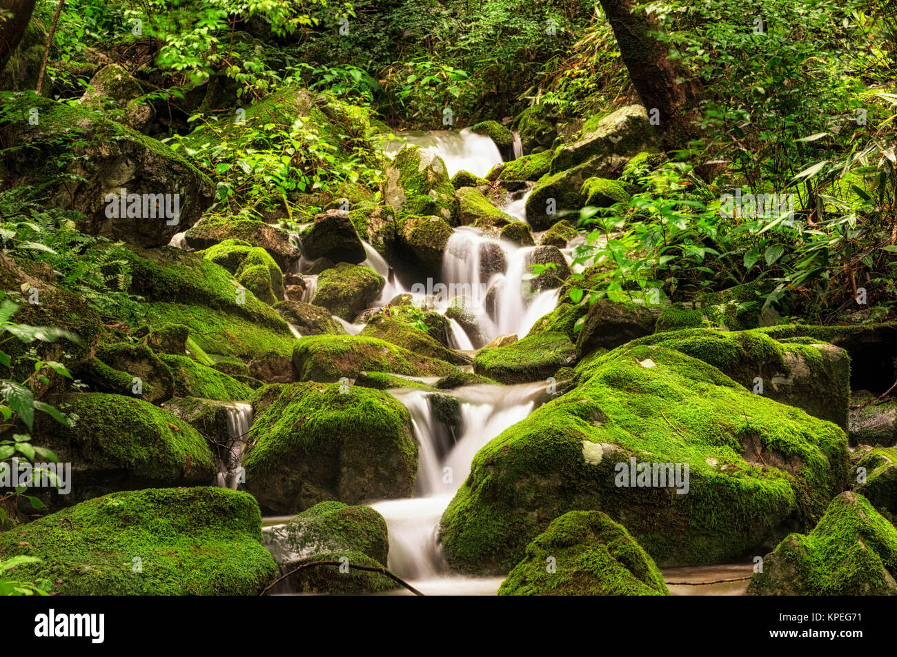 Creek after the rain Stock Photo - Alamy