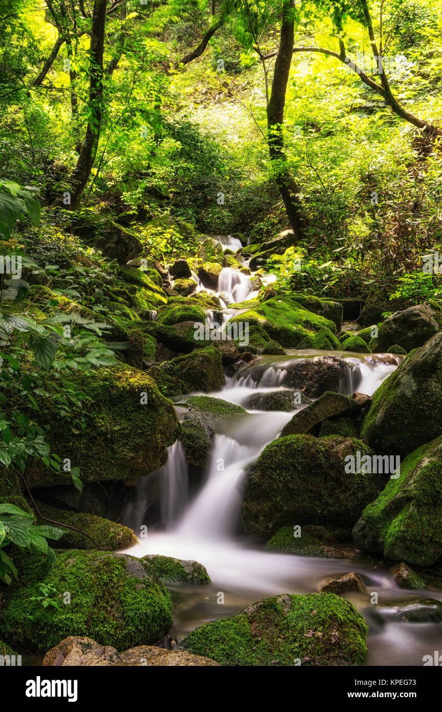 Creek after the rain Stock Photo - Alamy