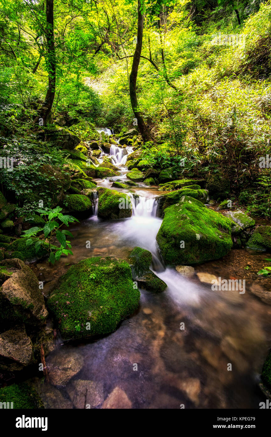 Creek after the rain Stock Photo - Alamy
