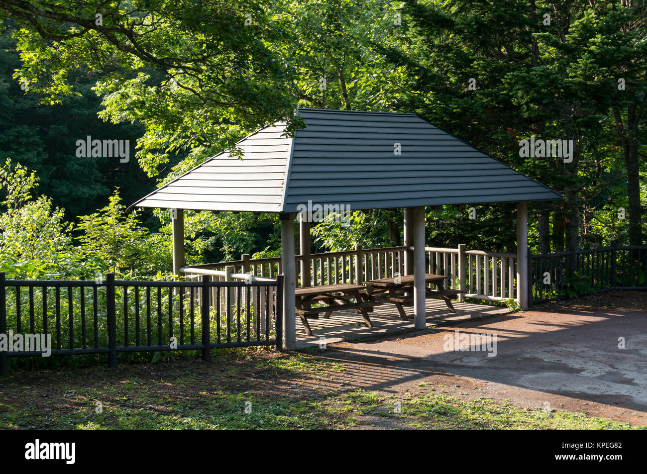 Park bench and shade Stock Photo - Alamy