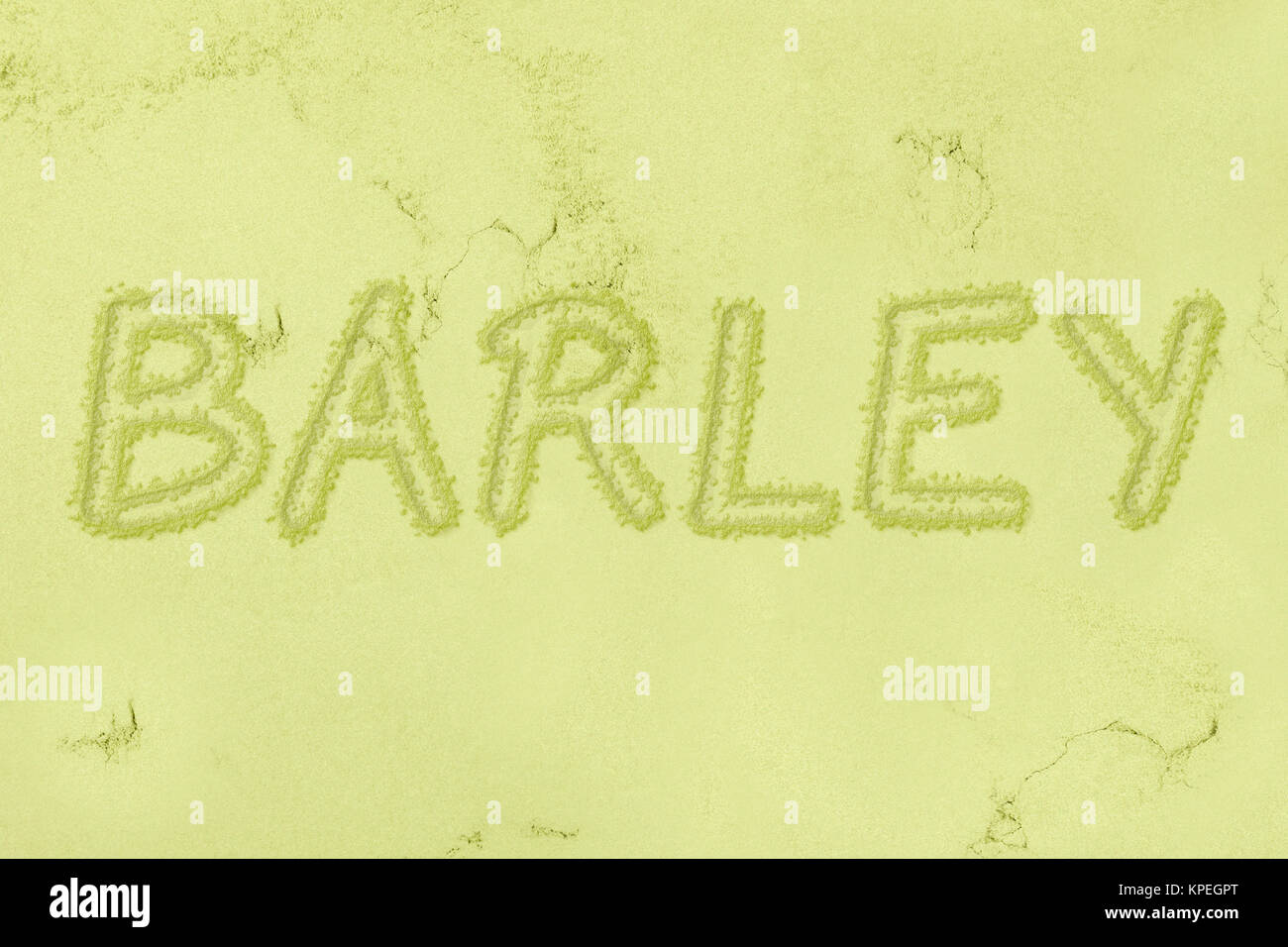 Green food supplement. Word barley written in green ground powder, top ...