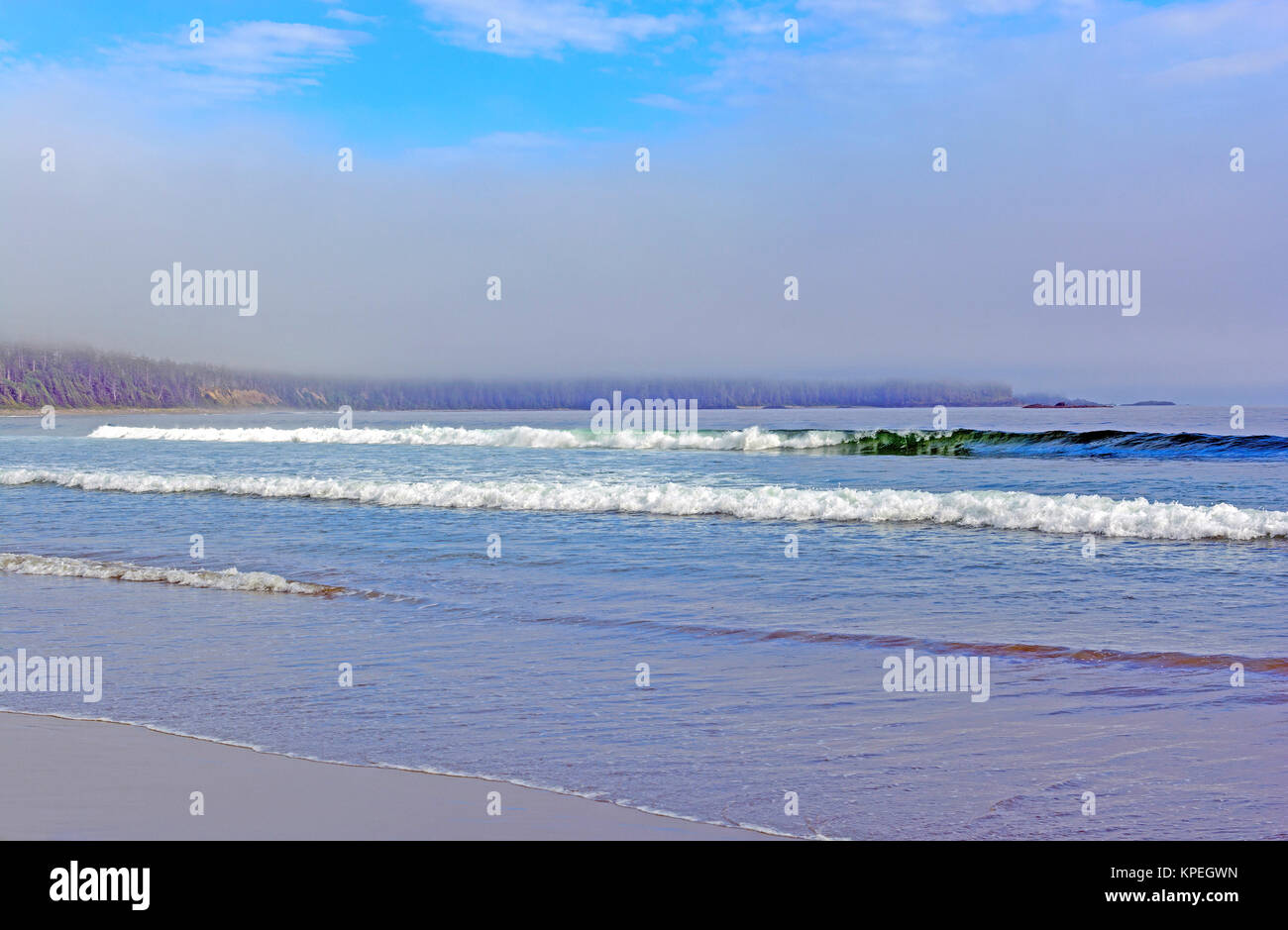 Fog and Waves on the Ocean Coast Stock Photo - Alamy