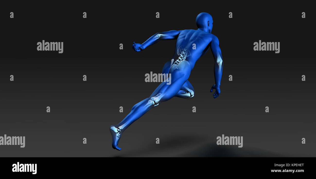 Human Anatomy with Visible Skeleton and Muscles Stock Photo - Alamy