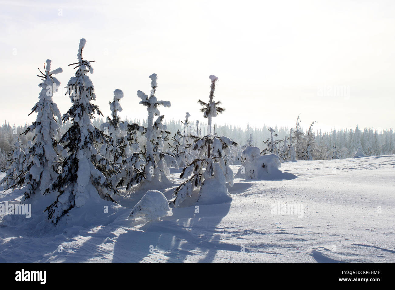 winter nature snow landscape tree sky Stock Photo - Alamy