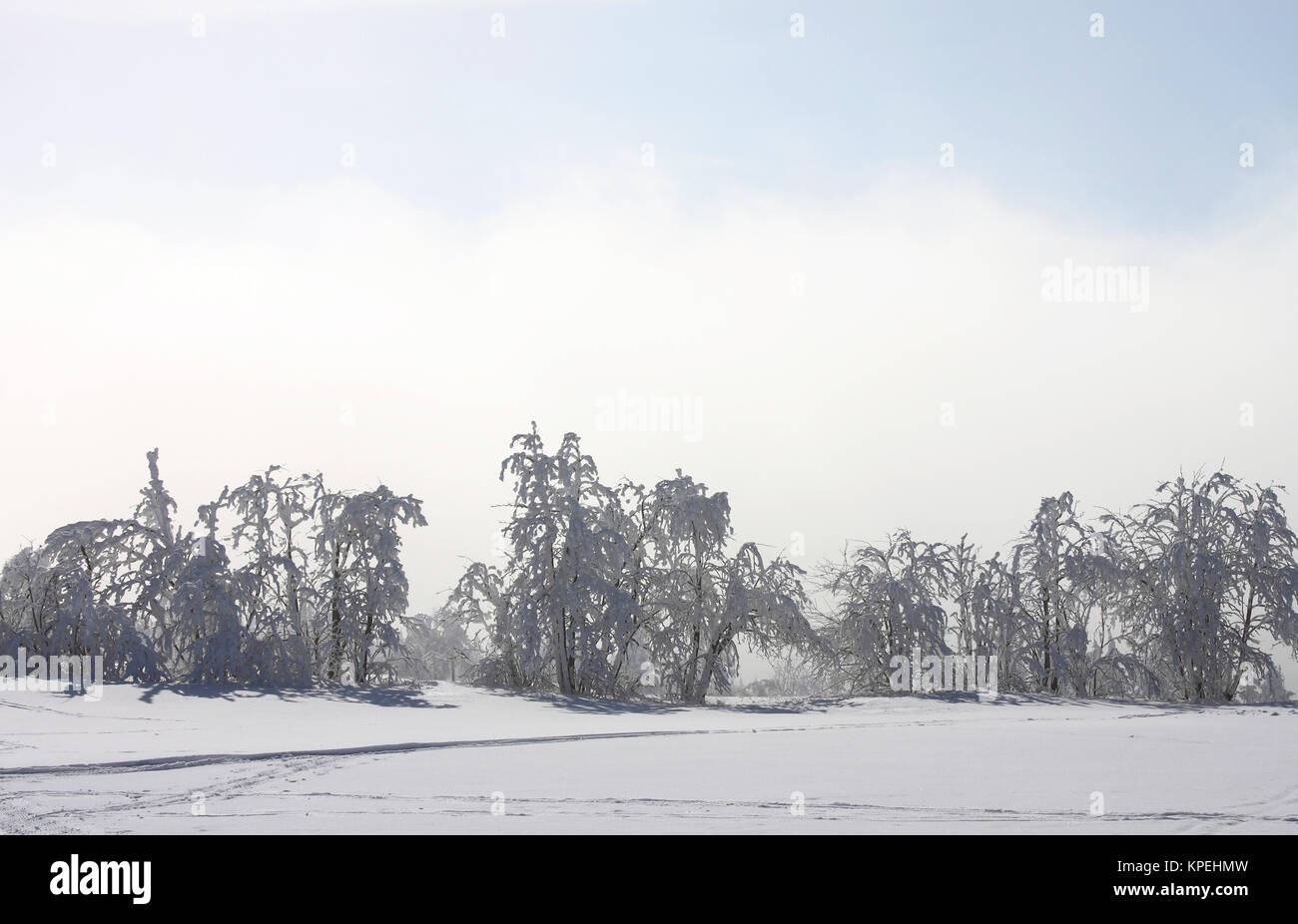 winter nature snow landscape tree sky Stock Photo - Alamy
