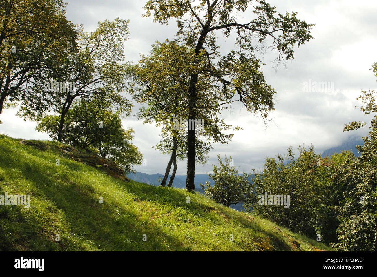 Assolato hi-res stock photography and images - Alamy