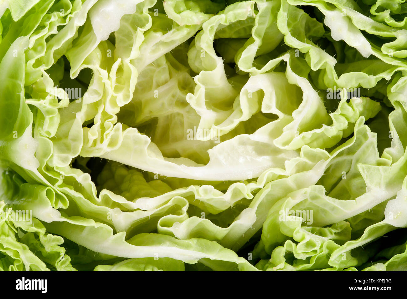 background of green middle of cut napa cabbage, close up Stock Photo ...