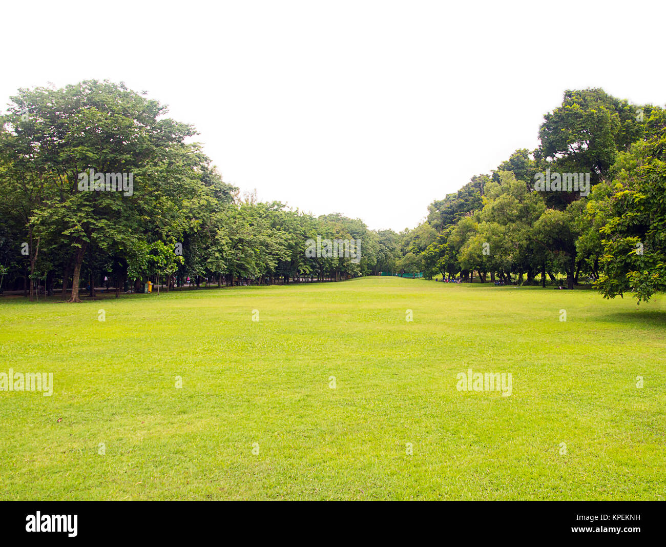 public park with green grass field Stock Photo - Alamy