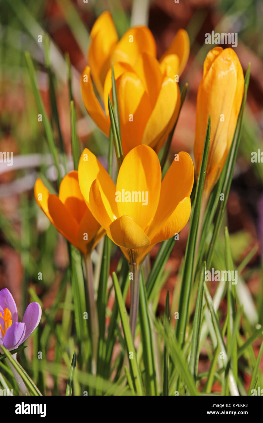 Countercolor hi-res stock photography and images - Alamy