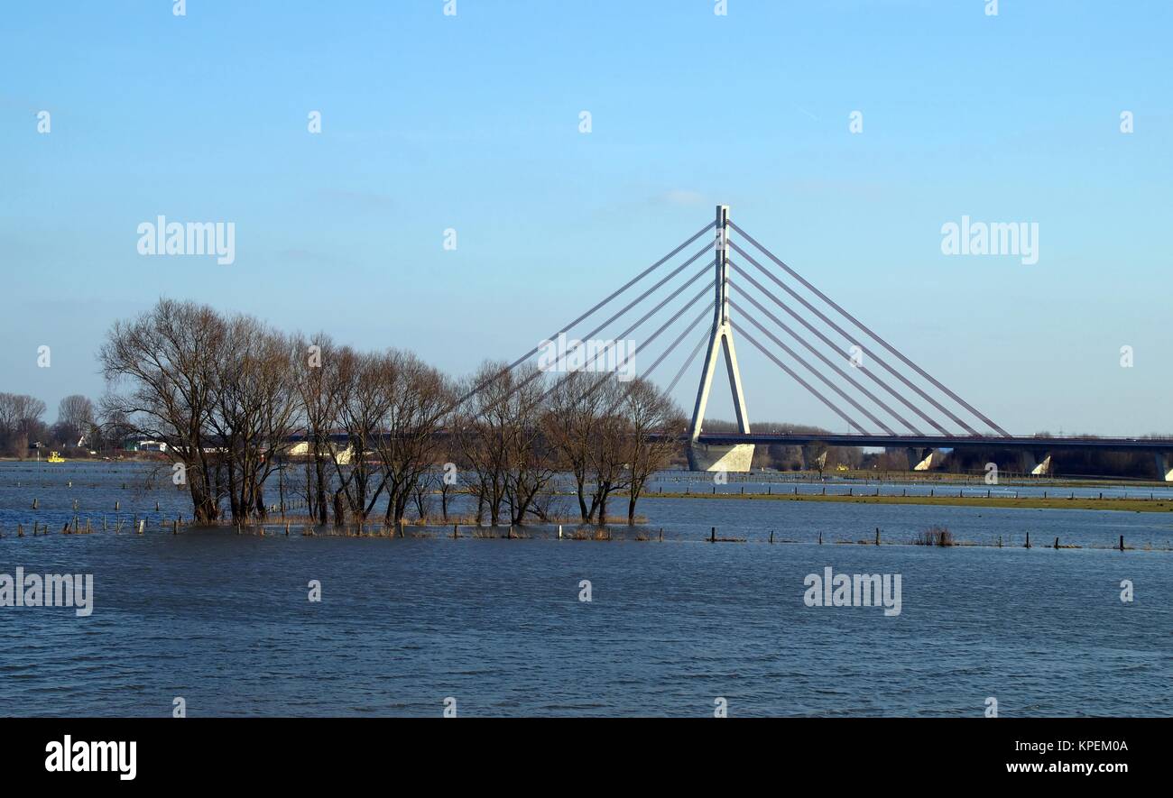 Rhine flooding hi-res stock photography and images - Alamy