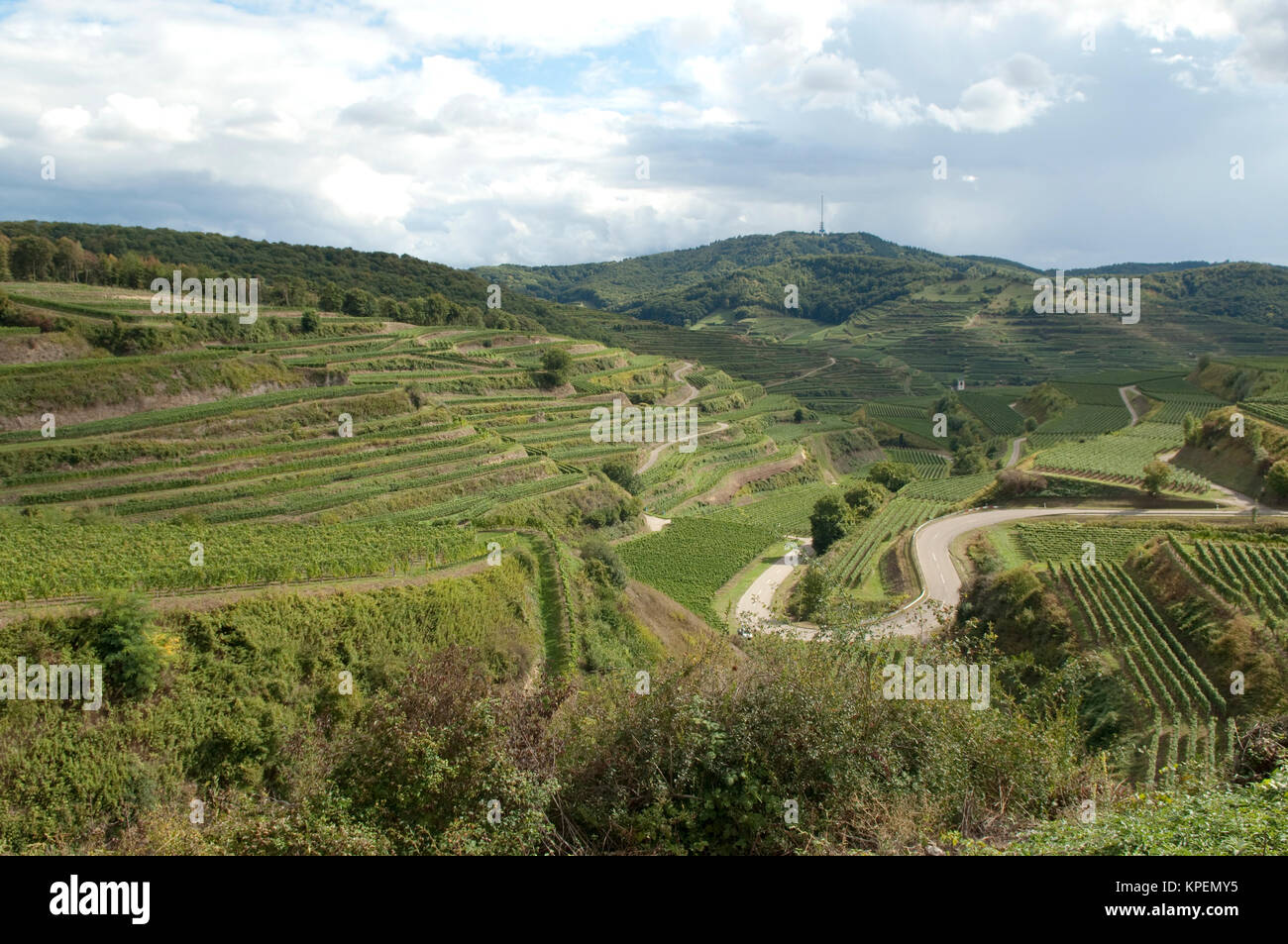 Kaiserstuhl weinberge oberbergen hi-res stock photography and images ...