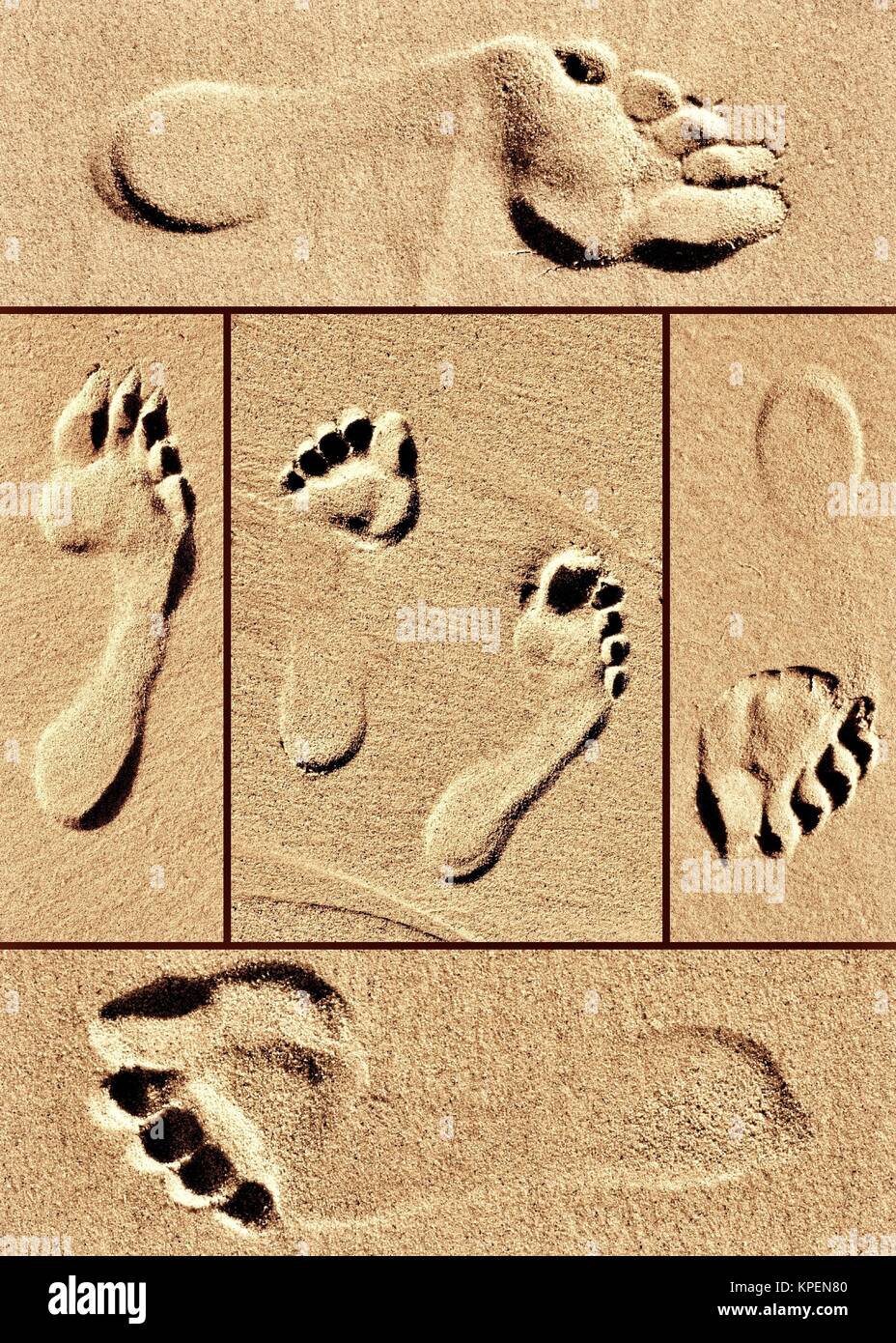 Footprints in sand collage Stock Photo - Alamy