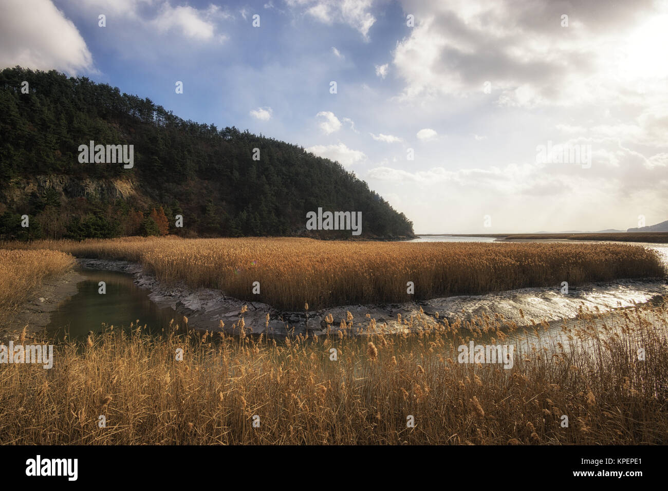 Suncheon hi-res stock photography and images - Alamy