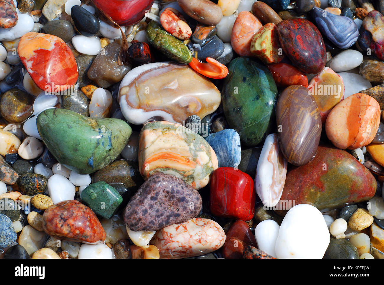 Colorful sea pebbles on the shore Stock Photo - Alamy