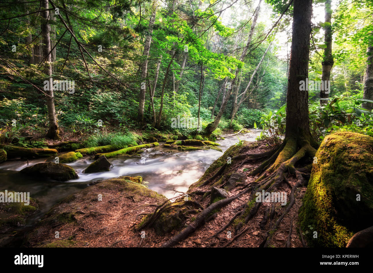 Waterfall in a creek Stock Photo - Alamy