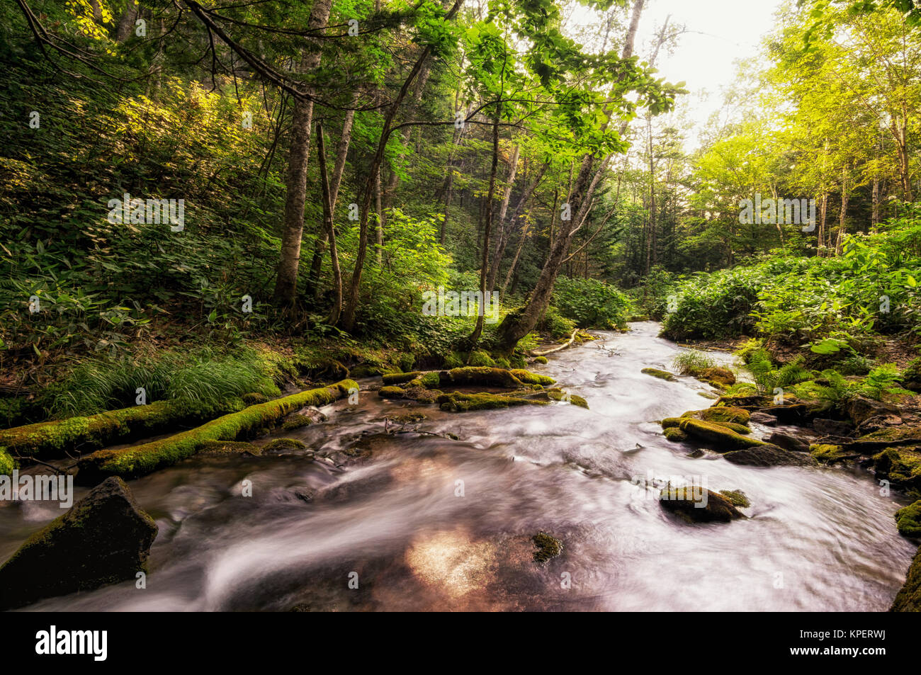 Waterfall in a creek Stock Photo - Alamy