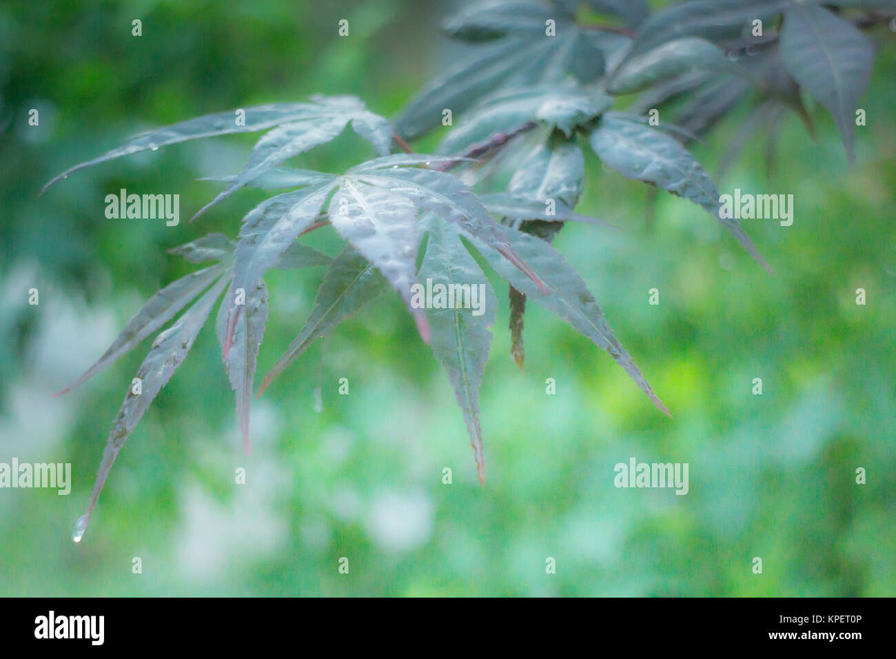 Vintage filter hi-res stock photography and images - Alamy