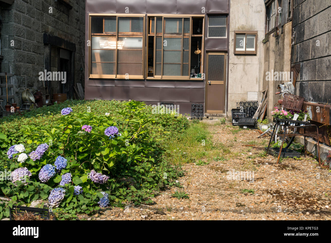 Old Japanese colonial backyard Stock Photo - Alamy