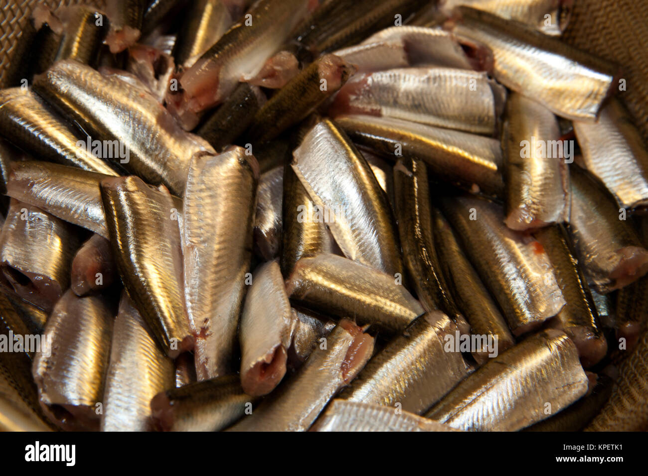 many sprat ready for kitchen preparation Stock Photo - Alamy
