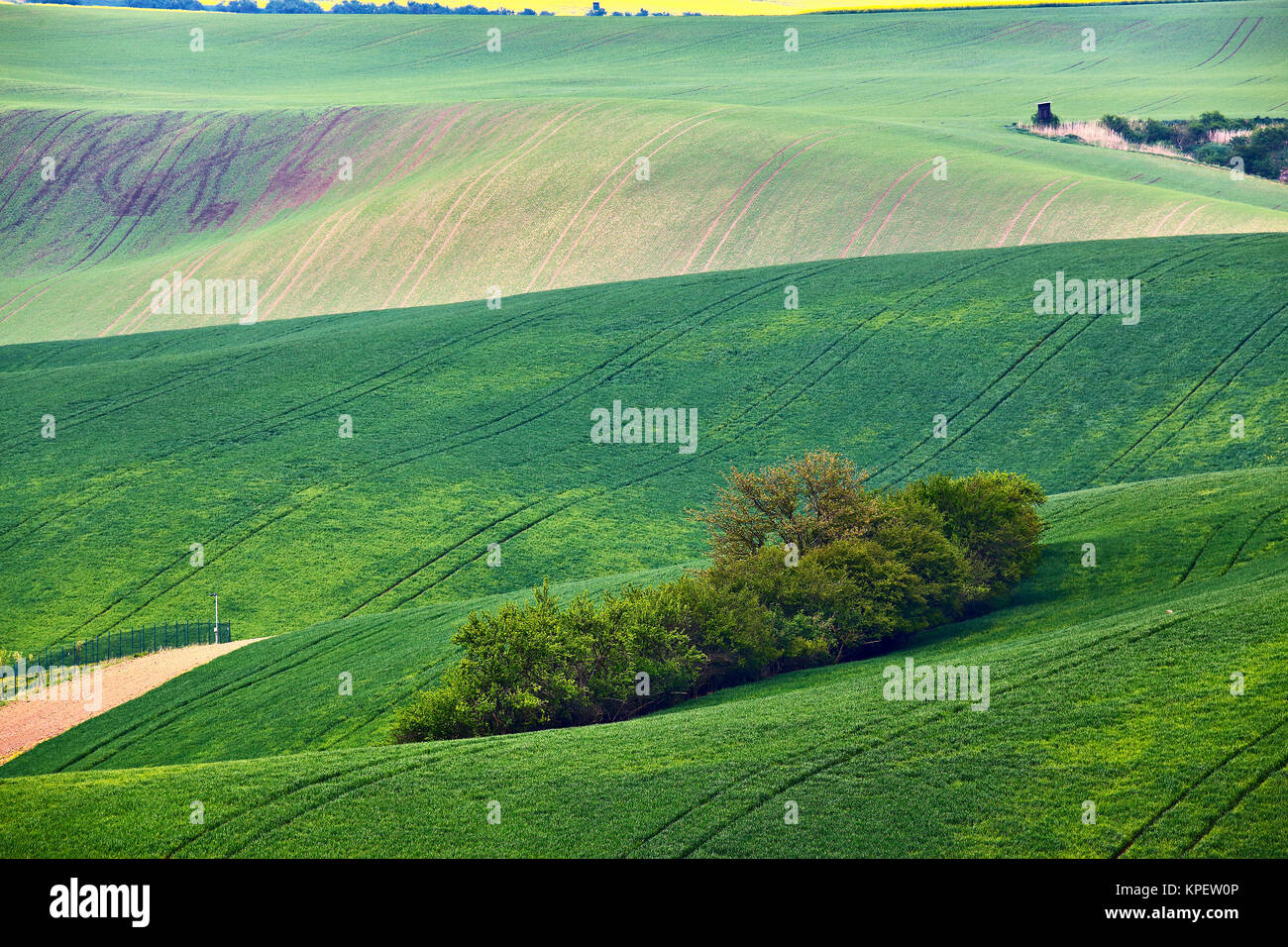 Spring fields. Green waves. Czech Moravia hills Stock Photo - Alamy