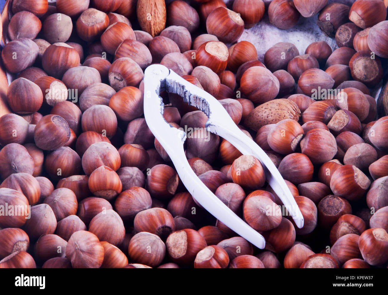 Group of brazil nuts hi-res stock photography and images - Alamy