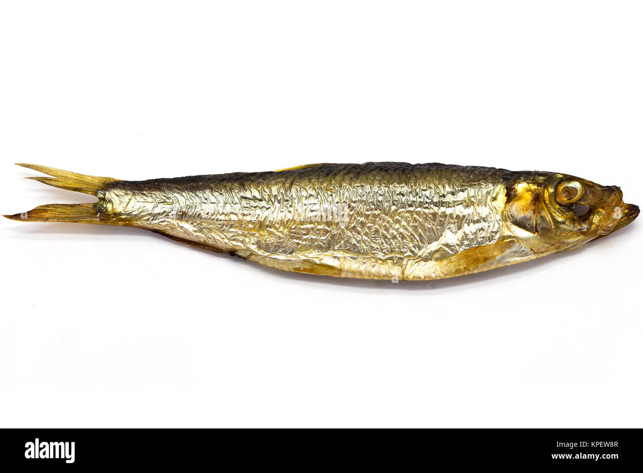 Smoked European Sprat (Sprattus sprattus Stock Photo - Alamy