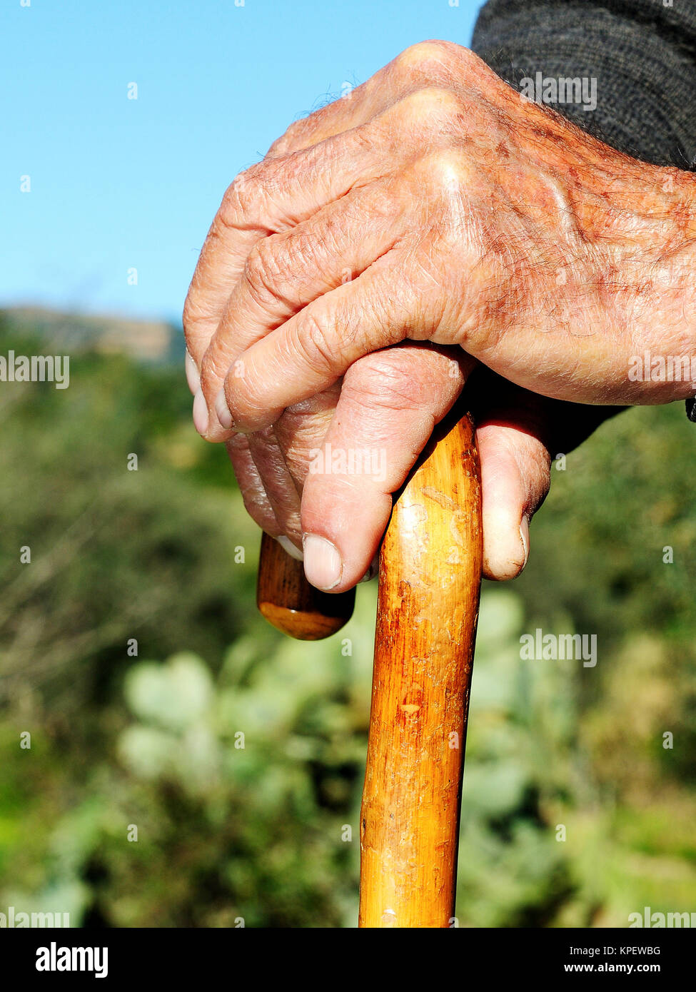 Hands of an old man that cling to the stick in search of support Stock ...