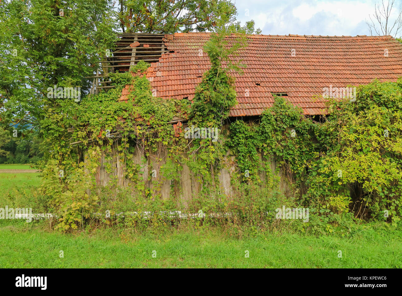 Old wooden bar with red roof Stock Photo - Alamy