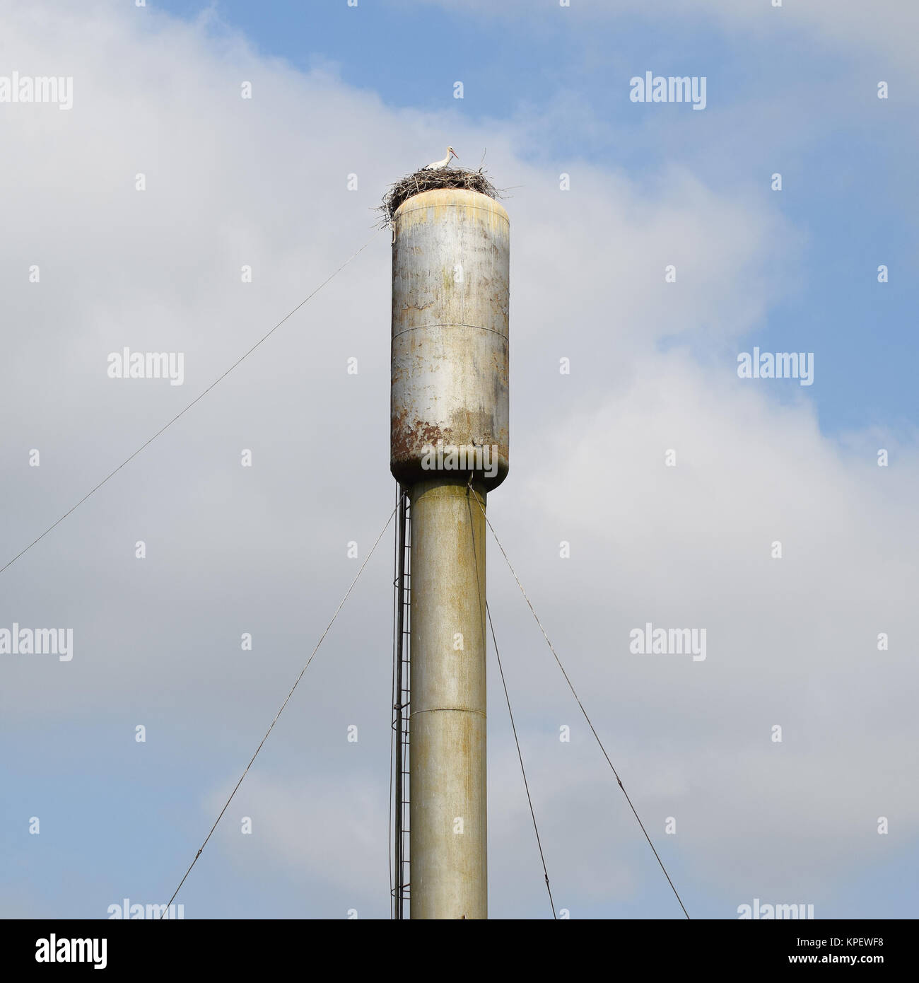 Stork on a roof of the water tower Stock Photo - Alamy
