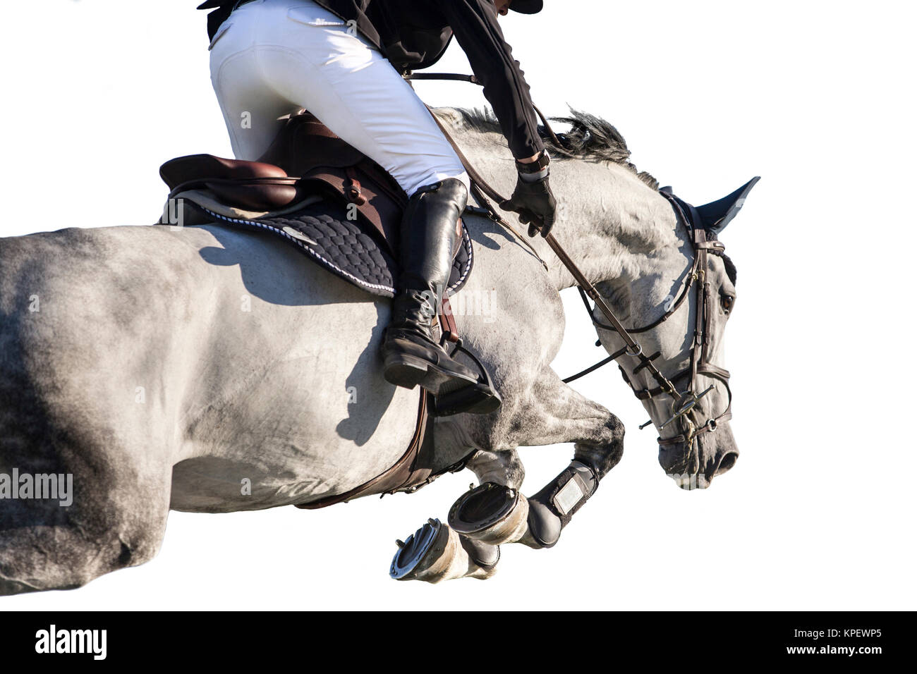 Equestrian Sports, Horse Jumping Event, Isolated on White Background ...