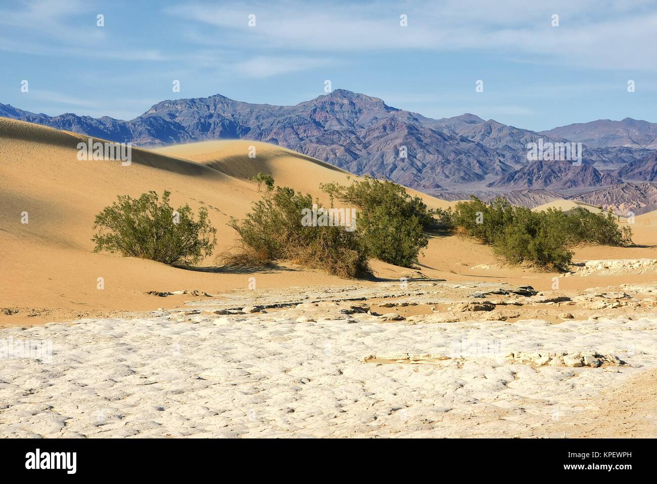 Arenaceous hi-res stock photography and images - Alamy