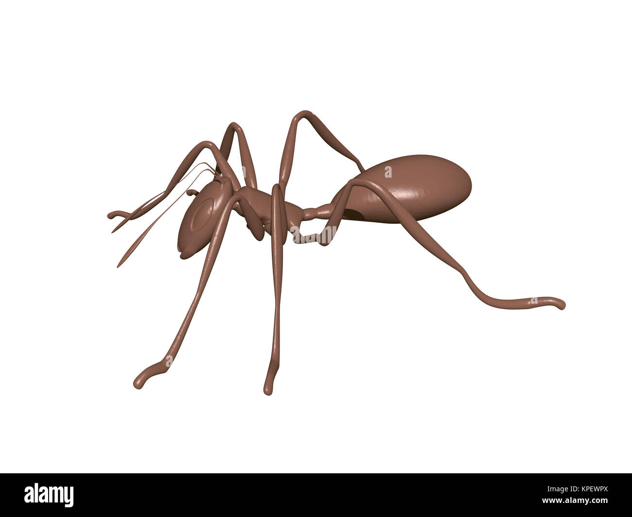 Power of insects hi-res stock photography and images - Alamy