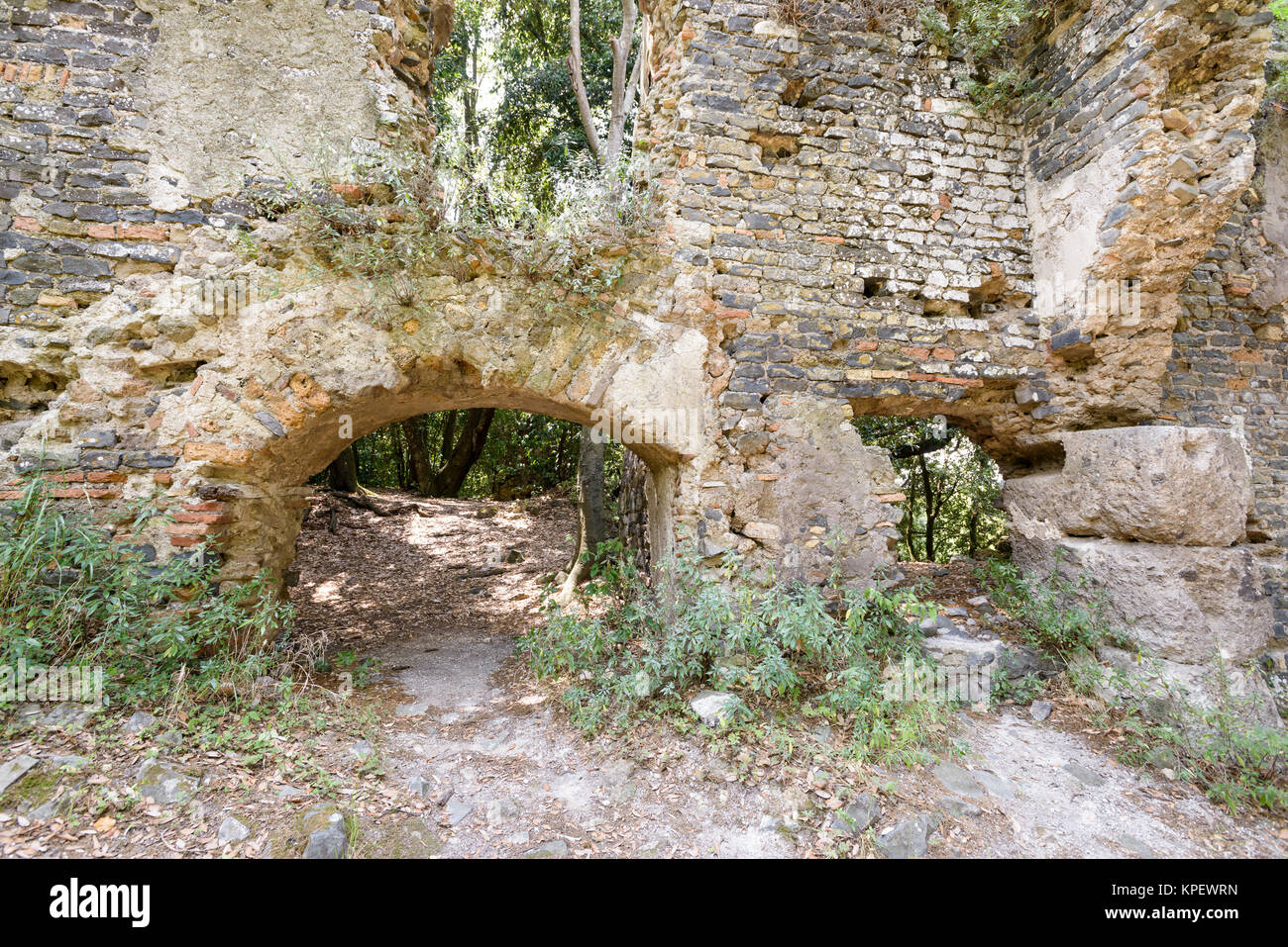 ruined castle in a wood Stock Photo - Alamy