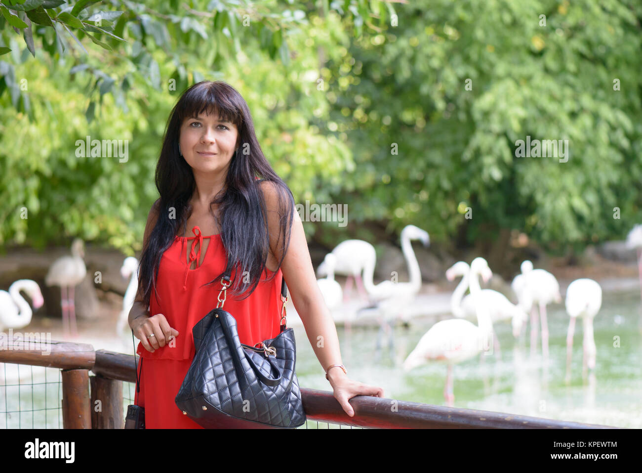 Girl and flamingos Stock Photo - Alamy