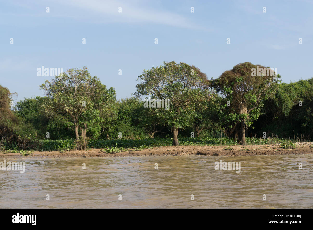 Tonle Sap Scenery Stock Photo - Alamy