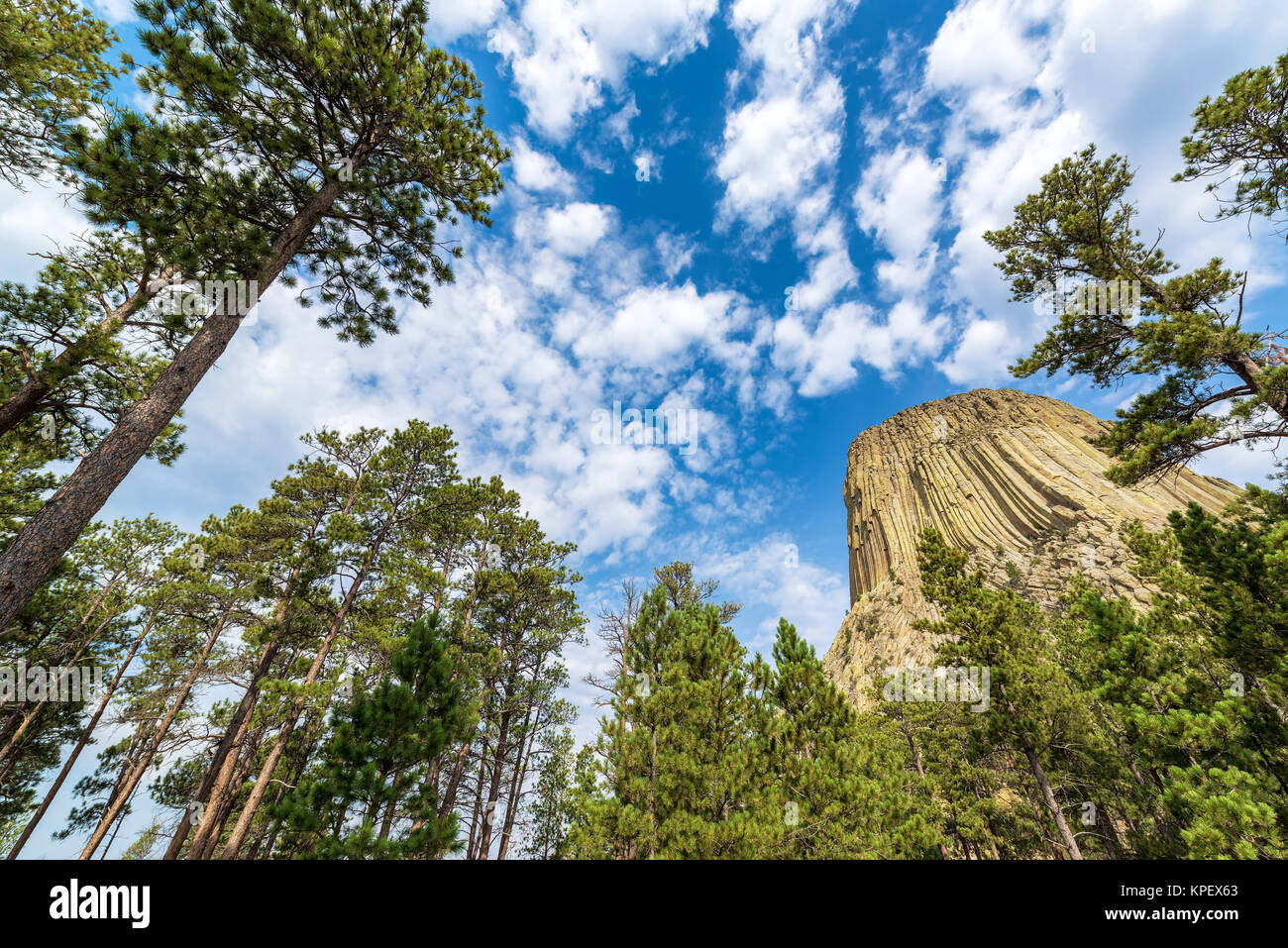 Devils Tower and Trees Stock Photo - Alamy