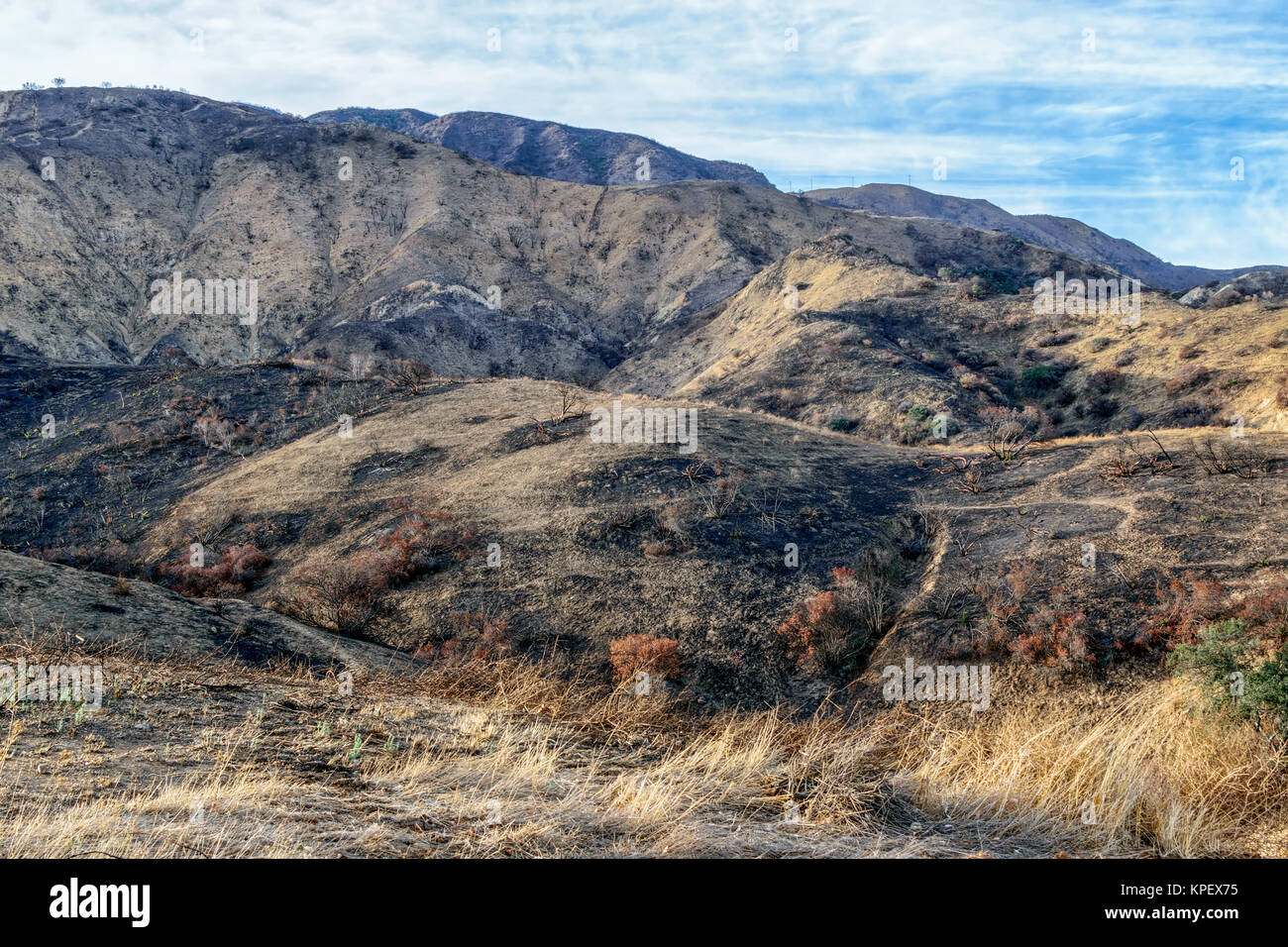 Hillsides burned by forest fires in California Stock Photo - Alamy