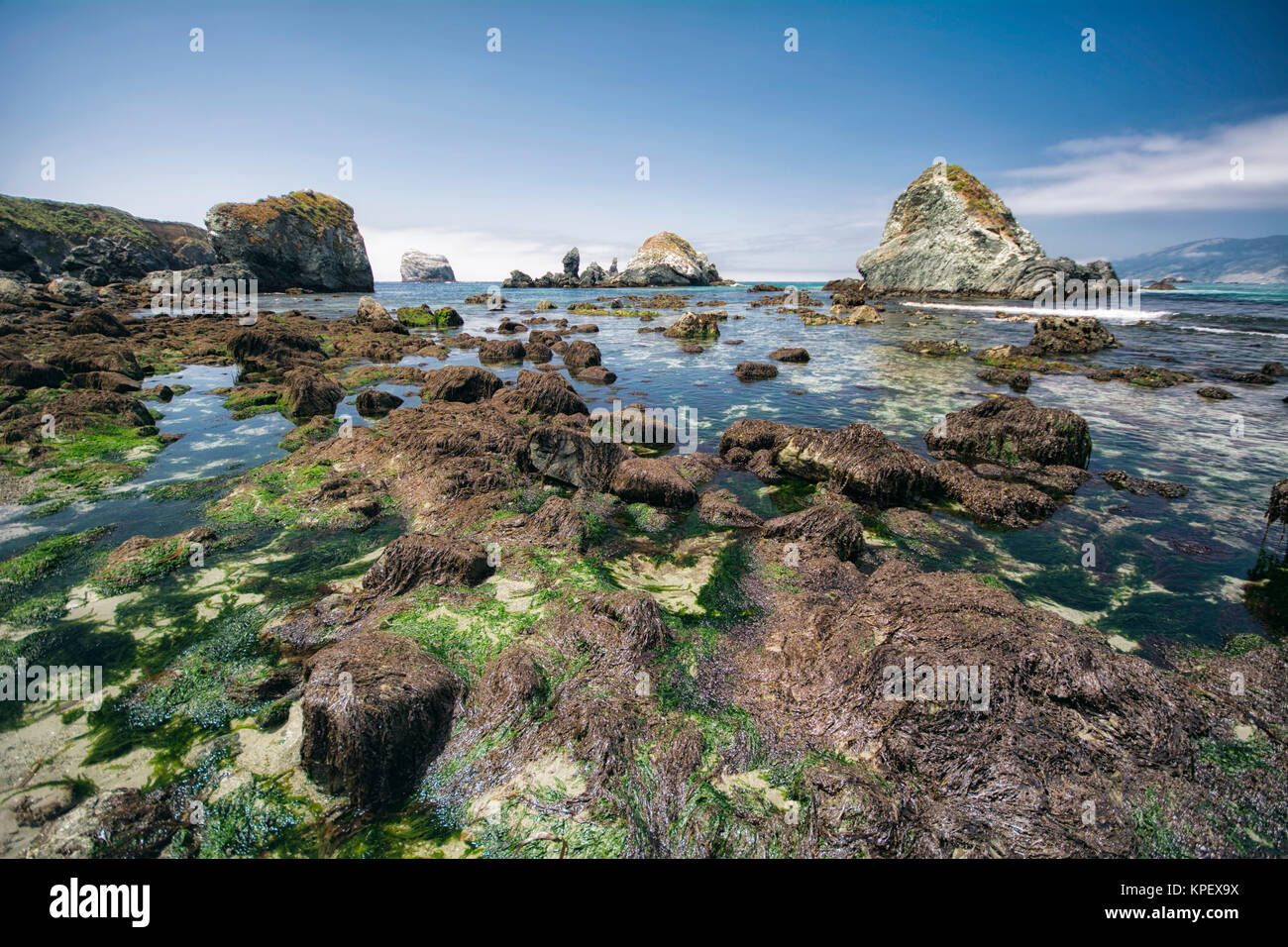 Big Sur Beach Stock Photo - Alamy