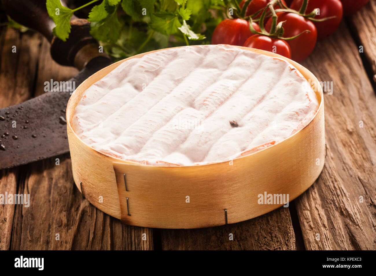 Delicious whole uncut ripe French camembert cheese in a box on a rustic ...