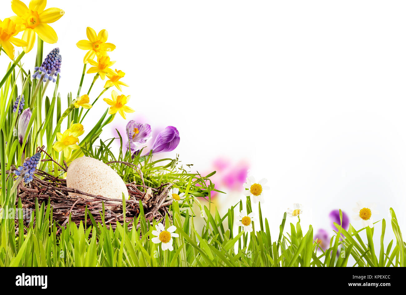 Modern Happy Easter seasonal Illustration isolate on white background ...